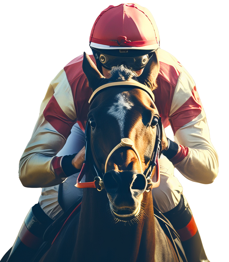 Wizard Home - Wizard Race and Sports